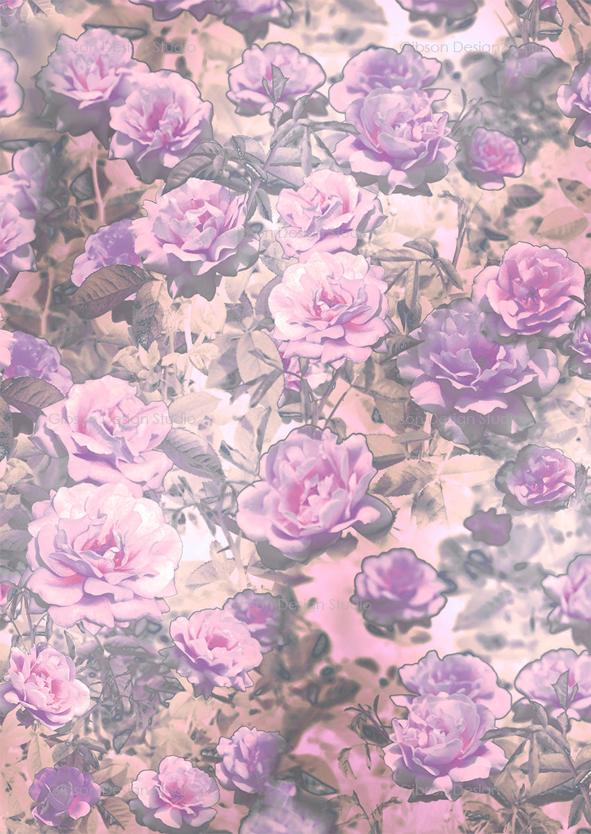 GIB-833 – GIBSON DESIGN STUDIO