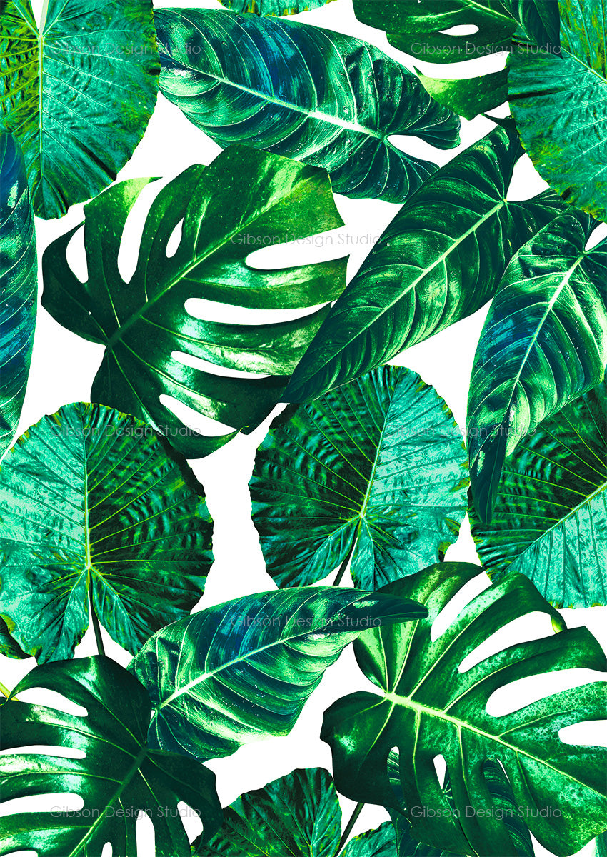 GIB1826 – GIBSON DESIGN STUDIO