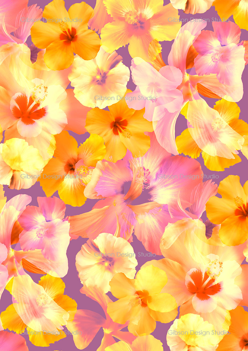 GIB2724 – GIBSON DESIGN STUDIO